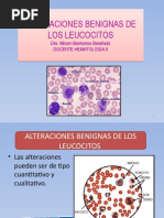 Práctica 12 RECUENTO DIFERENCIAL DE LEUCOCITOS | PDF | Leucocito | Biología