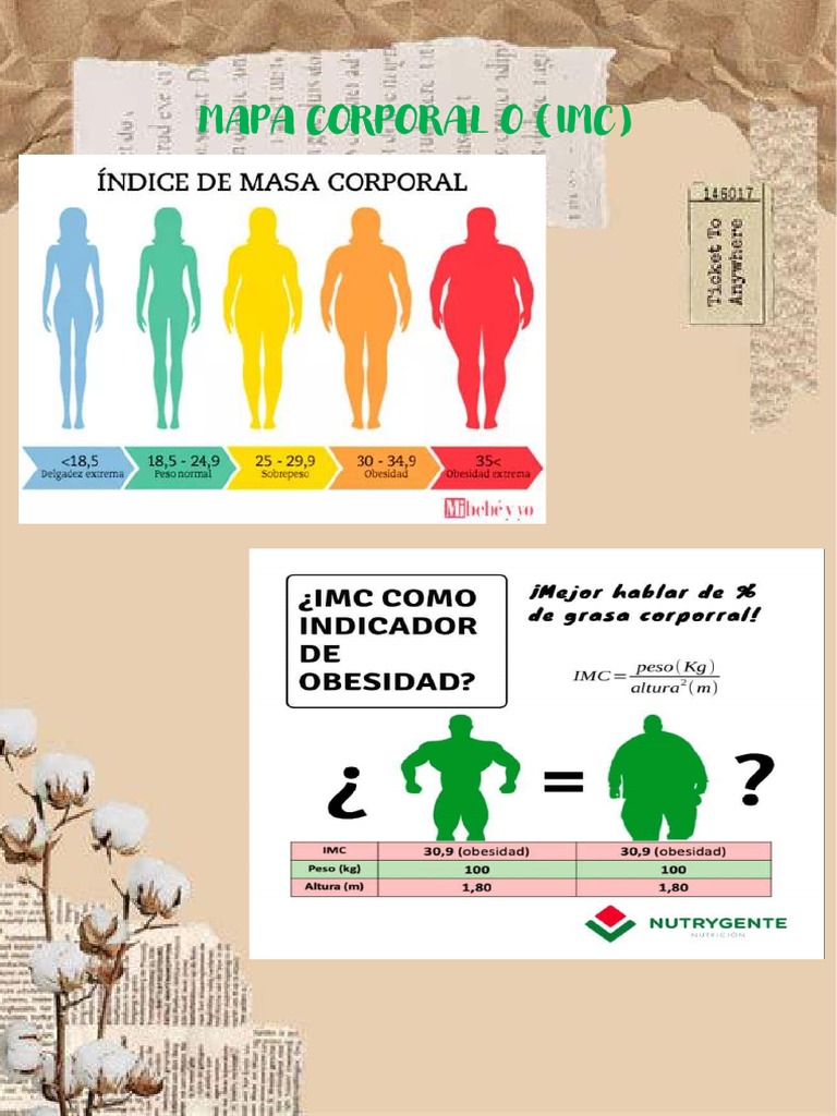 Mapa Corporal O (Imc) | PDF