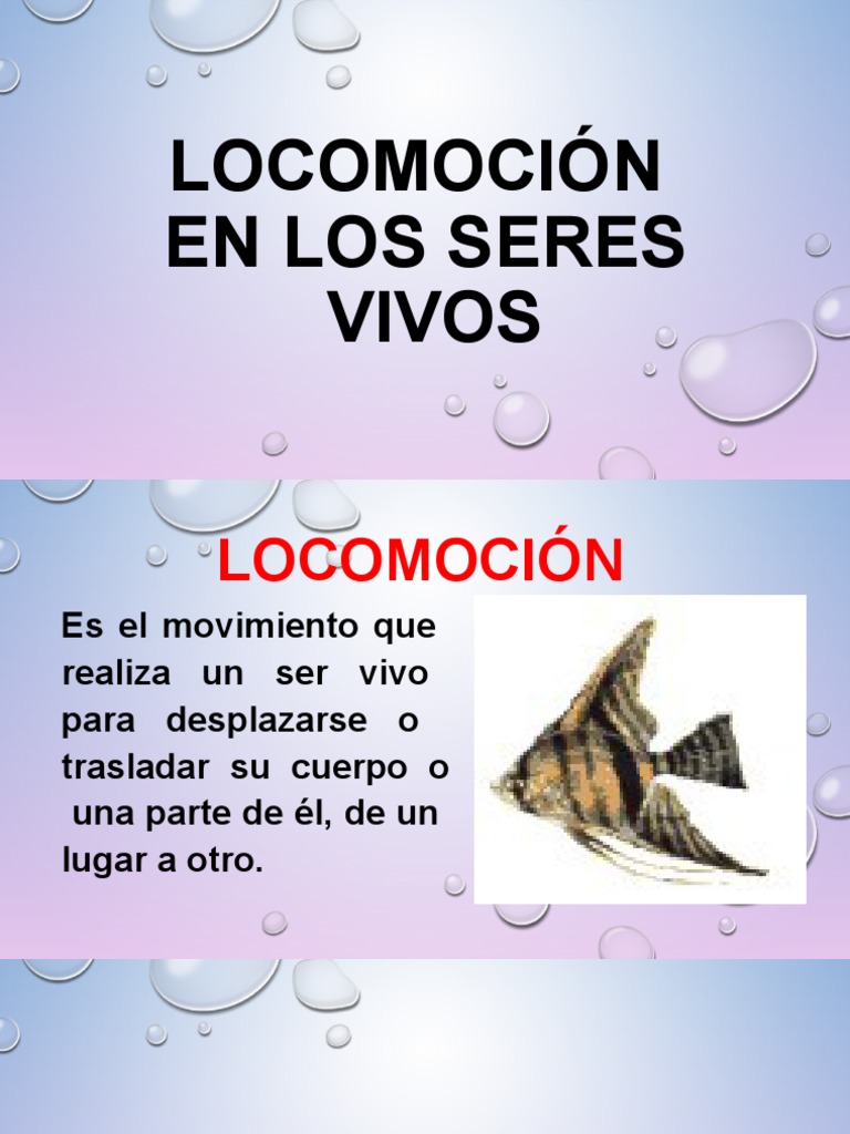 Locomocion en Los Seres Vivos 7 ABC | PDF | Músculo | Esqueleto