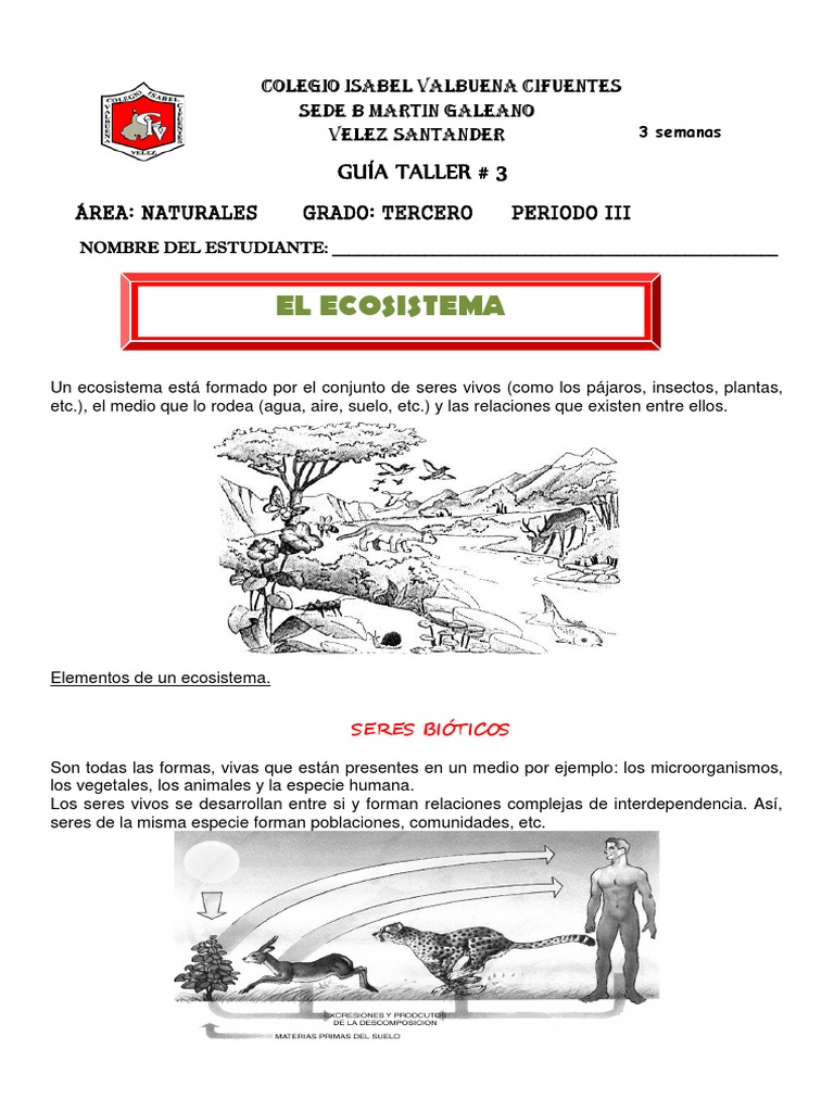 Ecosistemas y Cadenas Alimenticias | PDF | Suelo | Ecosistema