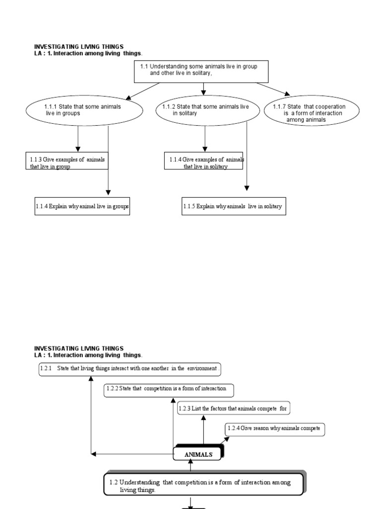 Mind Map Year 6 | PDF | Machines | Human Impact On The Environment