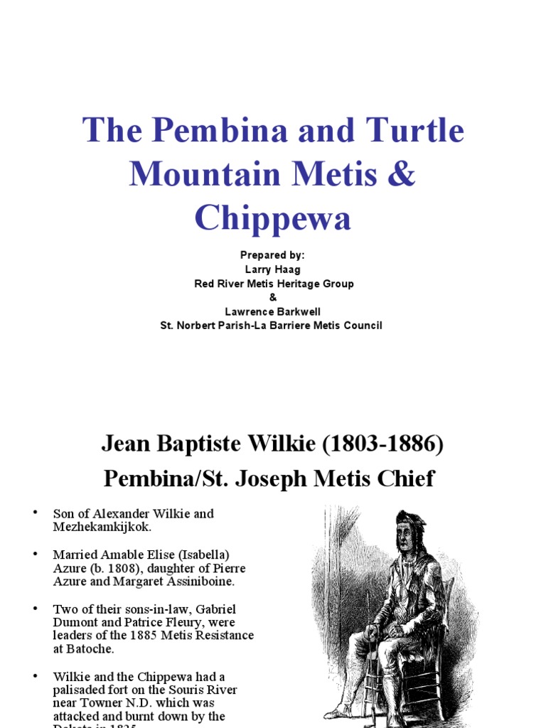 The Pembina and Turtle Mountain Metis An | PDF | Métis | Great Lakes Tribes