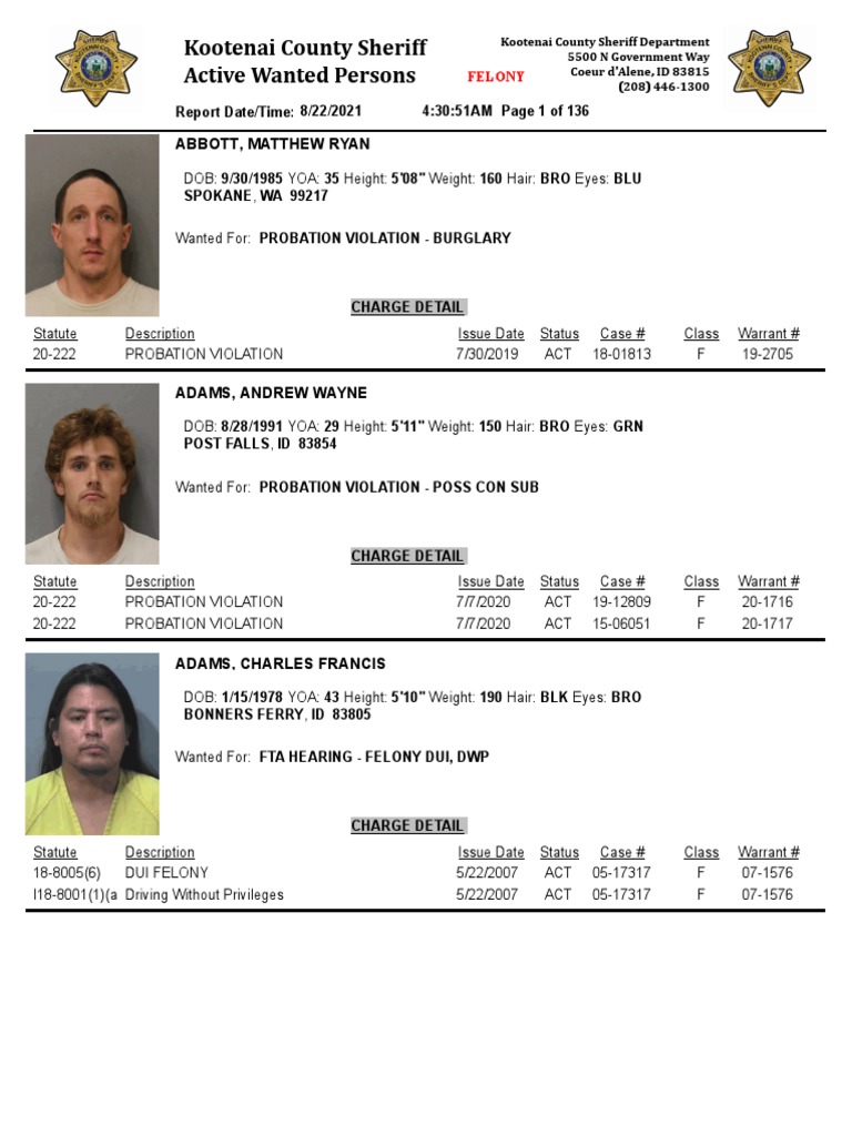 Wanted Report Felony V 4 | PDF | Burglary | Theft