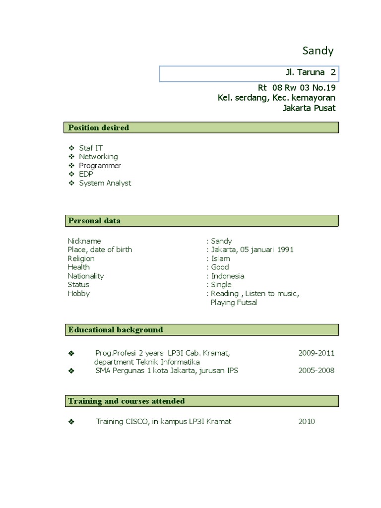 IT Professional Resume - Sandy Jakarta | PDF