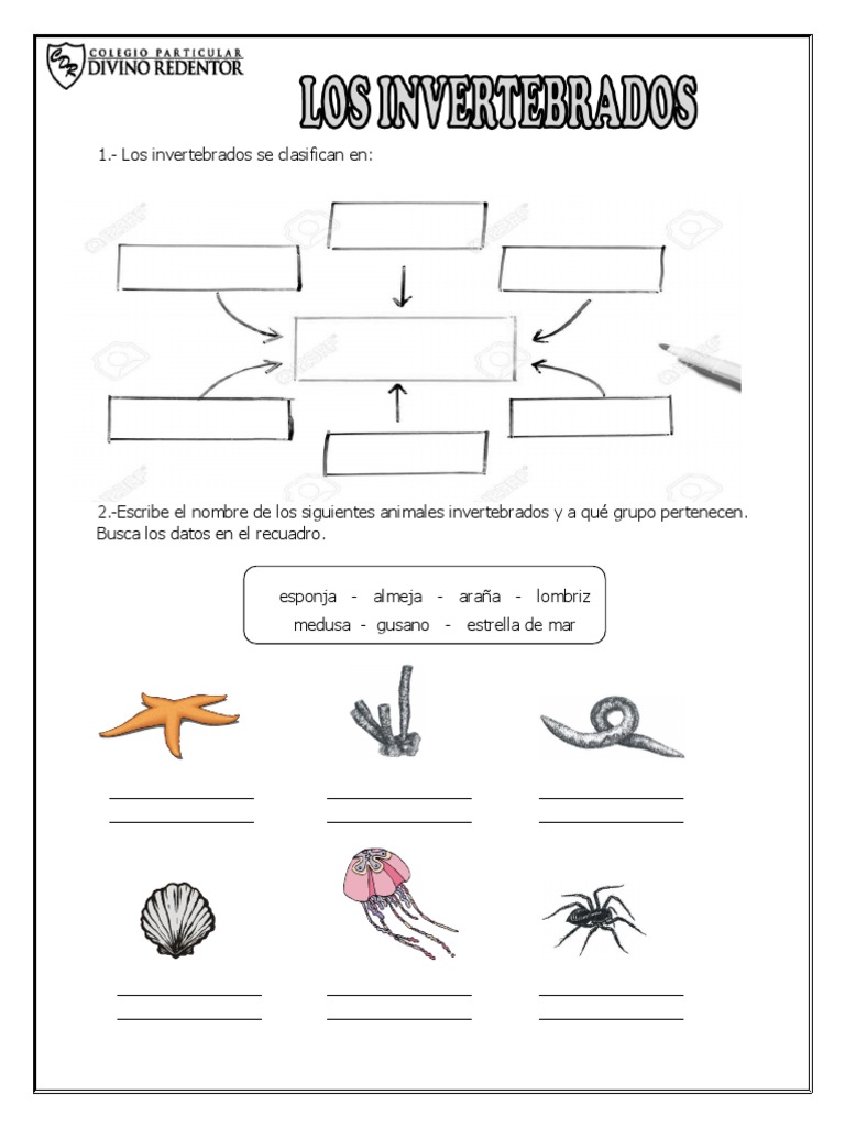 Animales Invertebrados 2° | PDF | Crustáceo | Abdomen