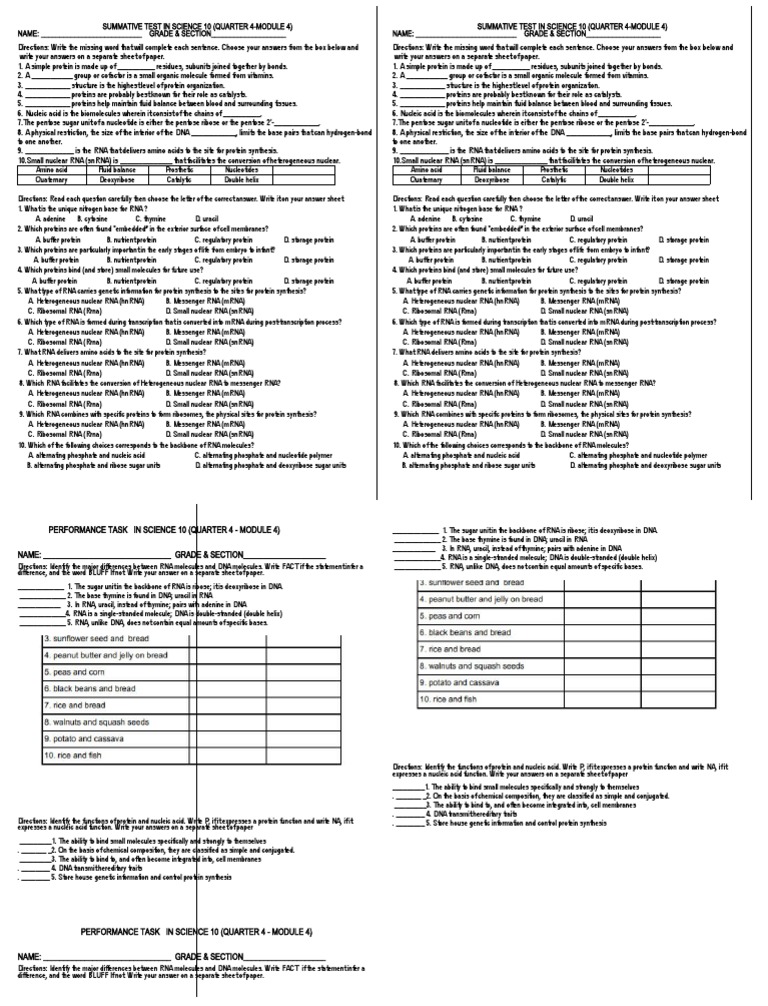 Q4 M4 SUMM PERF TASK Final Draft | PDF | Rna | Nucleic Acids