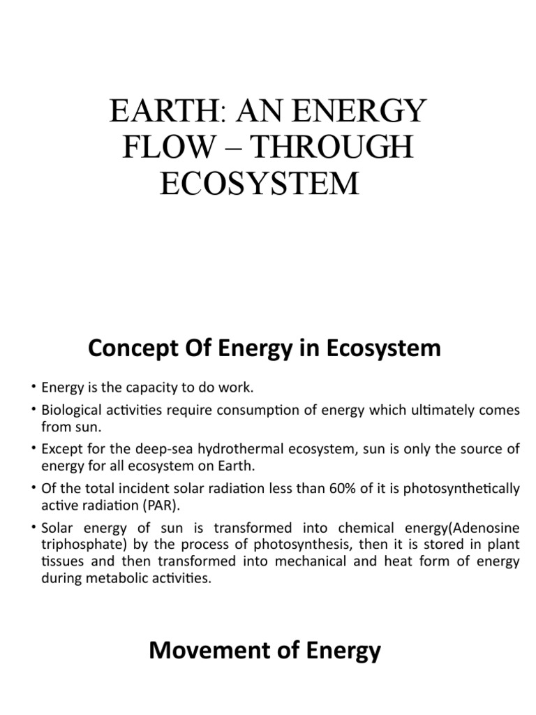 Earth: An Energy Flow - Through Ecosystem | PDF | Ecosystem | Plants