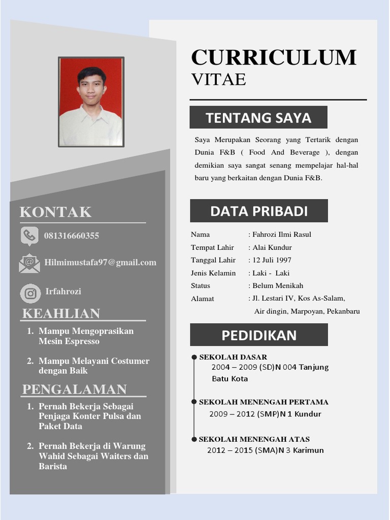 CV Summary | PDF