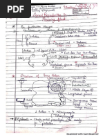 Molecular Basis of Inheritance - Super Notes by Seep Pahuja | PDF ...