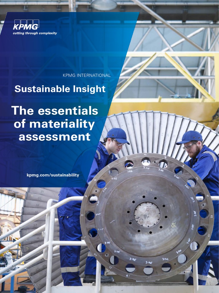 The Essentials of Materiality Assessment: Sustainable Insight | PDF ...
