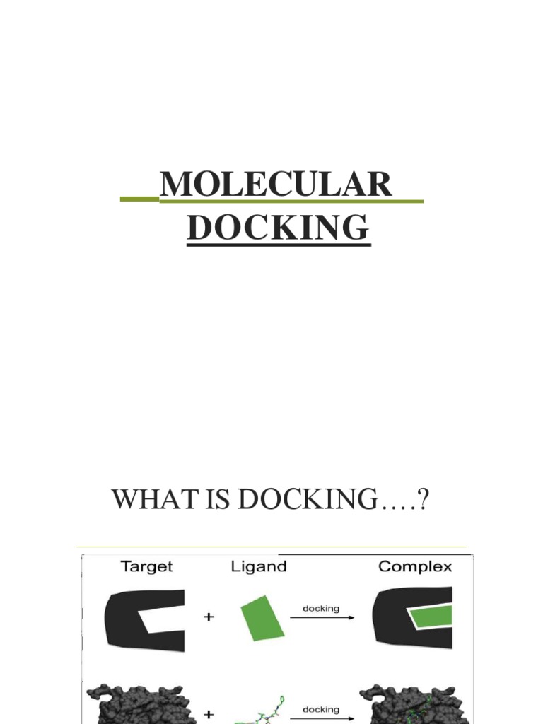 Molecular Docking 2 - FINAL | PDF | Docking (Molecular) | Ligand ...