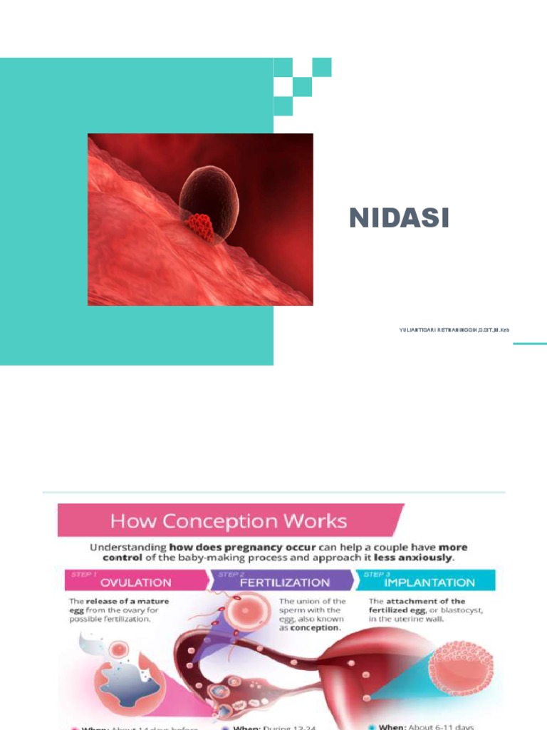 Nidasi dan Pembentukan Plasenta | PDF