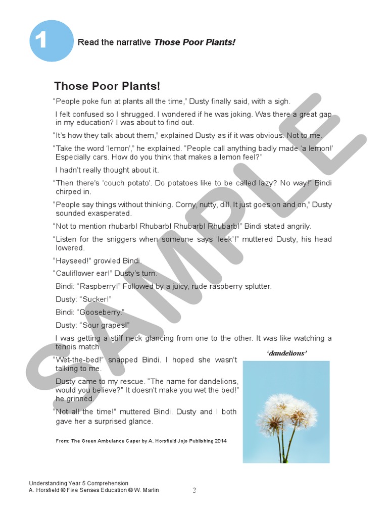 Understanding Y5 Sample Test 1&2 Questions | PDF | Reading ...