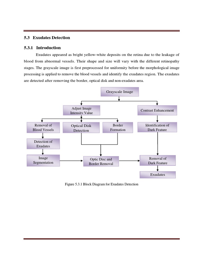 5 3 Exudates Detection Pdf Imaging Signal Processing