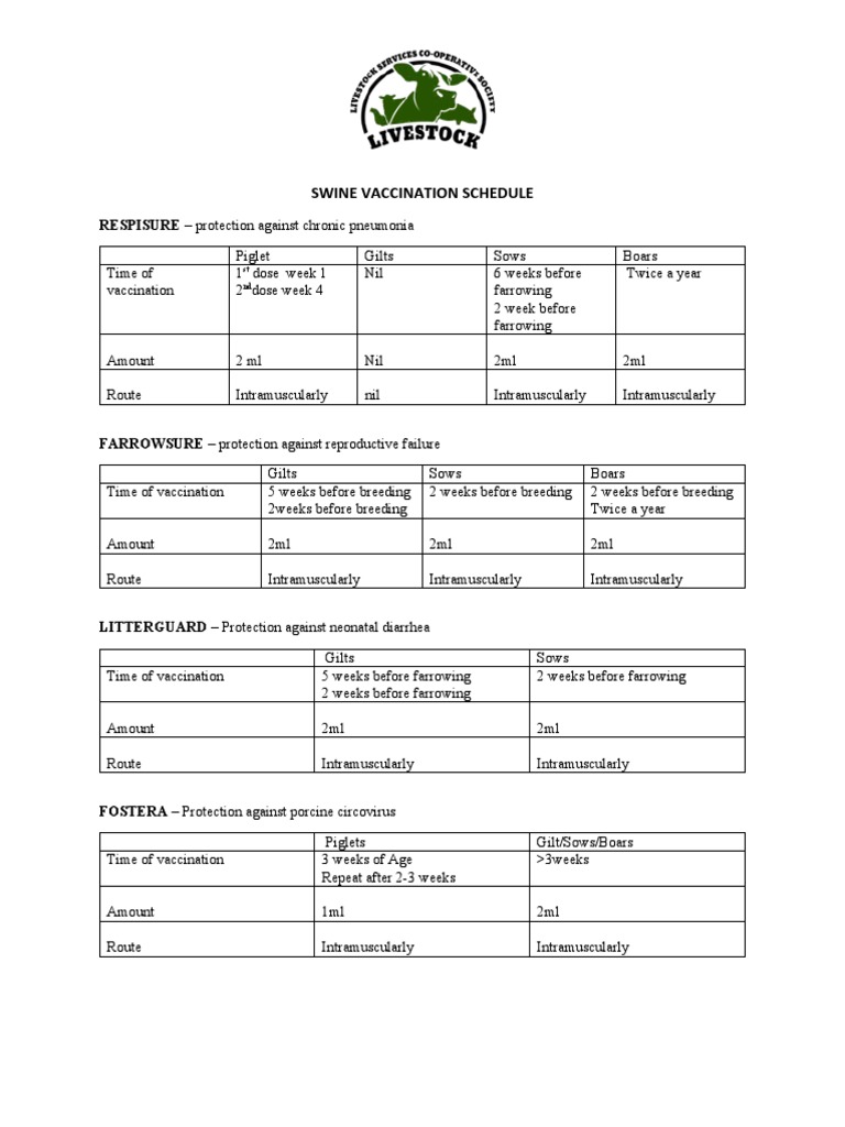 Swine Vaccination Schedule | PDF