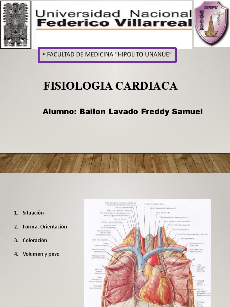 Fisiologia Cardiaca | PDF | Corazón | Angiología
