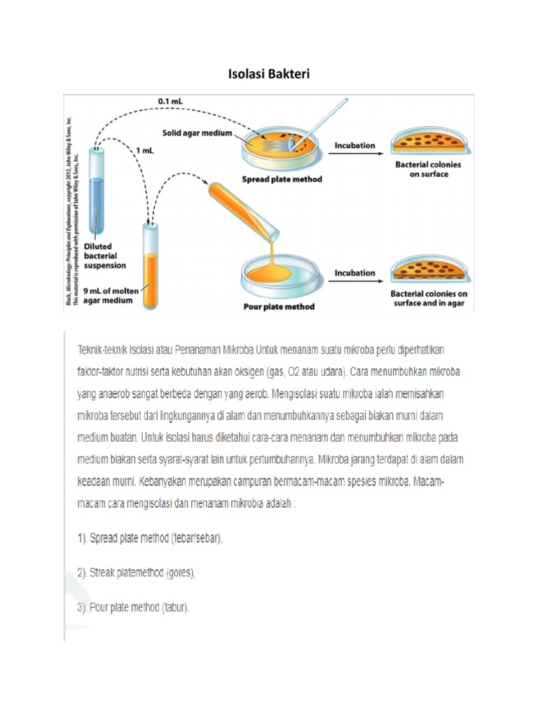 Isolasi Bakteri | PDF