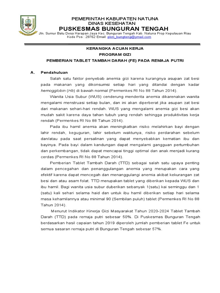 Kak Pemberian Tablet Fe Remaja Putri | PDF