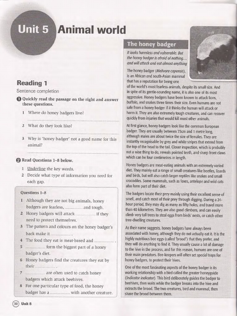 WB Unit 5 Animal | PDF