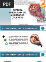 Formula Obstetrica, Calculo de La Edad Gestacional, FPP y Ponderado ...