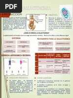 Test de Patrick | PDF | Rodilla | Articulaciones
