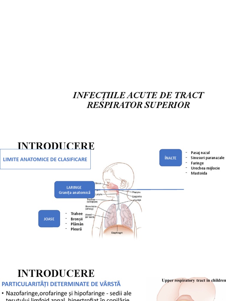 1.infectiile de Tract Respirator | PDF