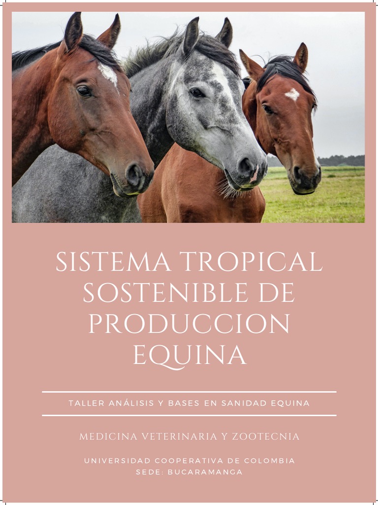 Produccion Equina | PDF | Influenza | Virus