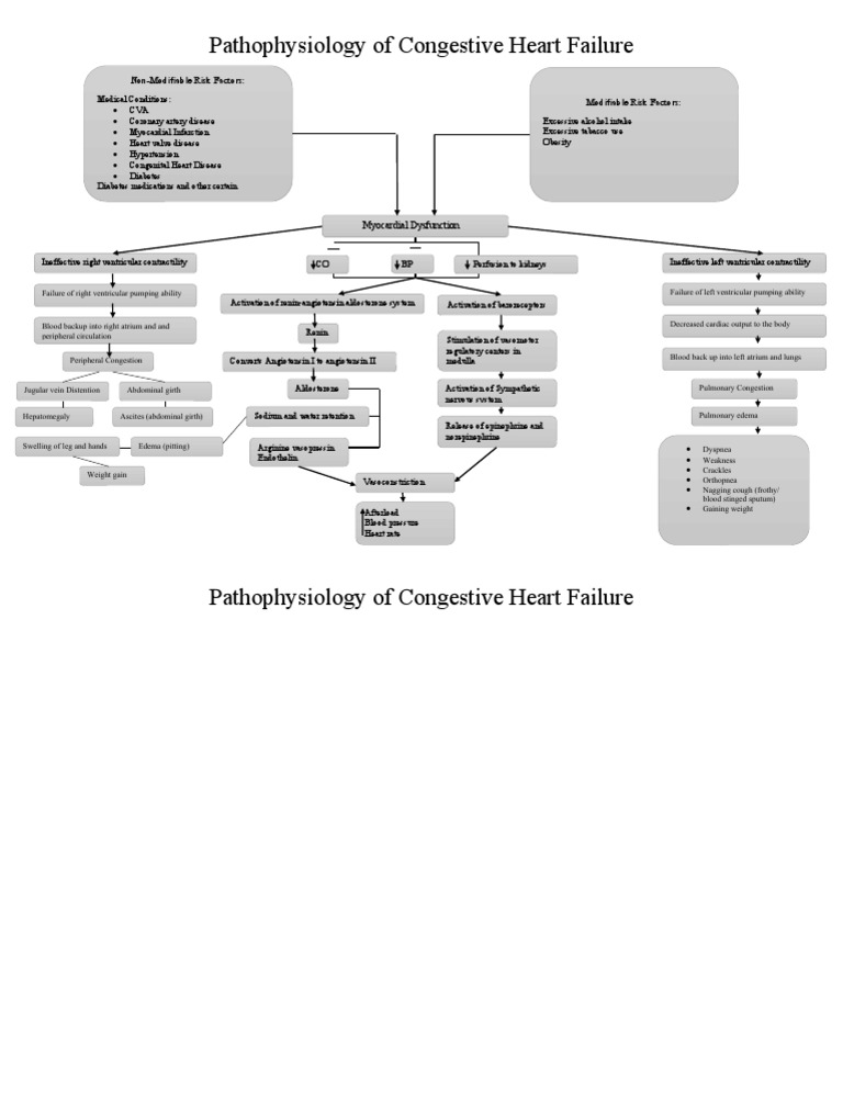 Pathophysiology of Congestive Heart Failure | PDF | Heart | Heart Failure
