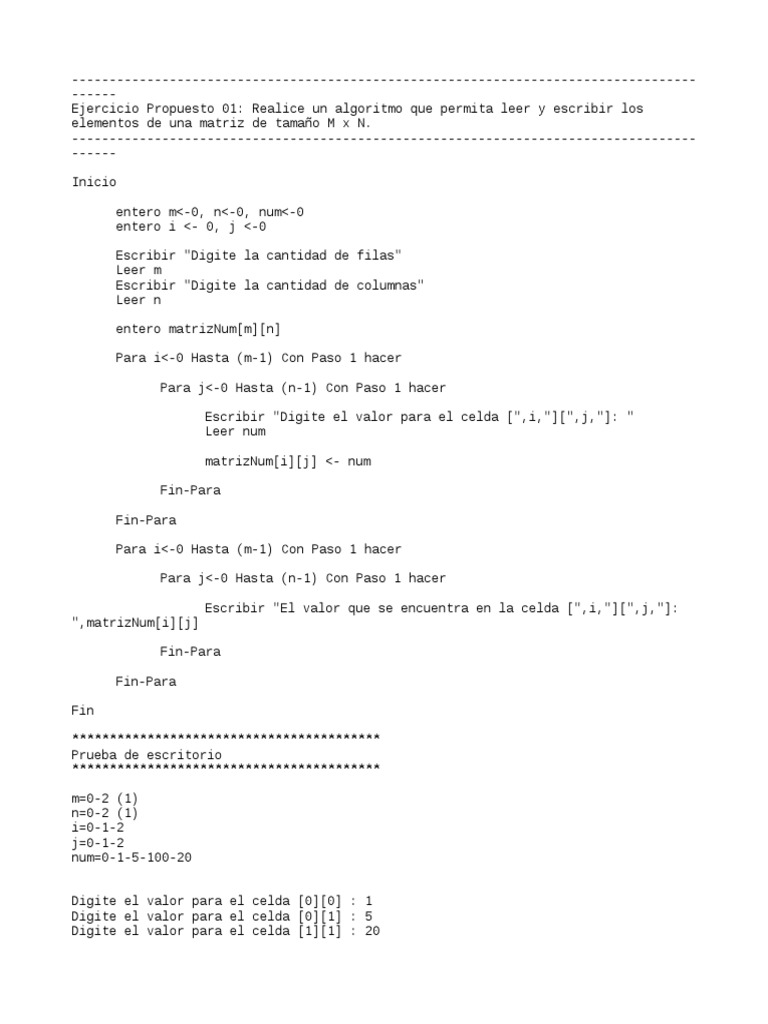 Ejercicios Ejemplos Matrices | PDF | Matriz (Matemáticas) | Algoritmos