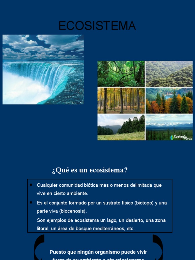 Tipos de Ecosistemas Terrestres | PDF | Ecosistema | Entorno natural