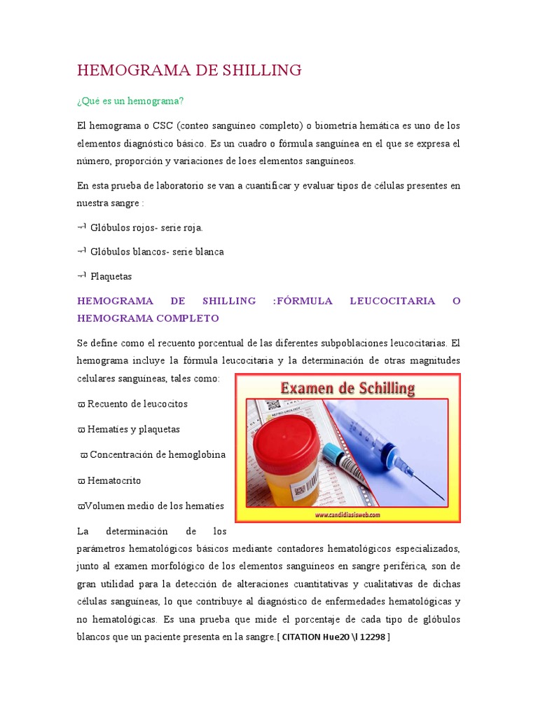 Hemograma de Schilling: Guía Completa | PDF | Leucocito | Sangre