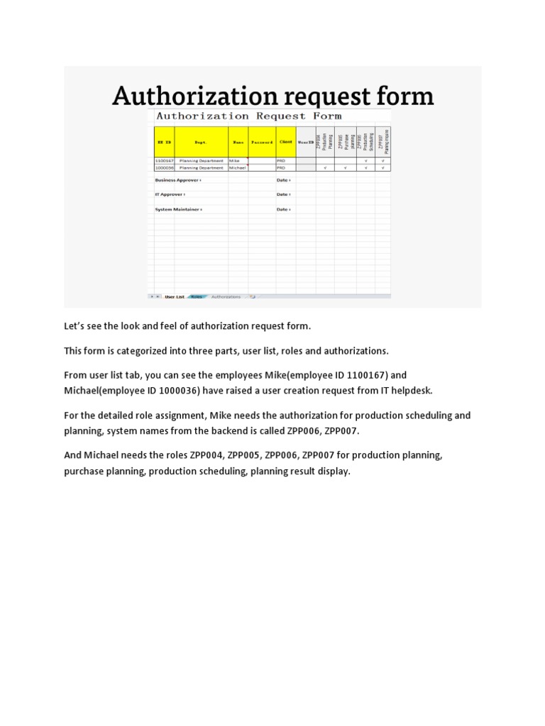 Authorization Request Form PFCG SU01 | PDF