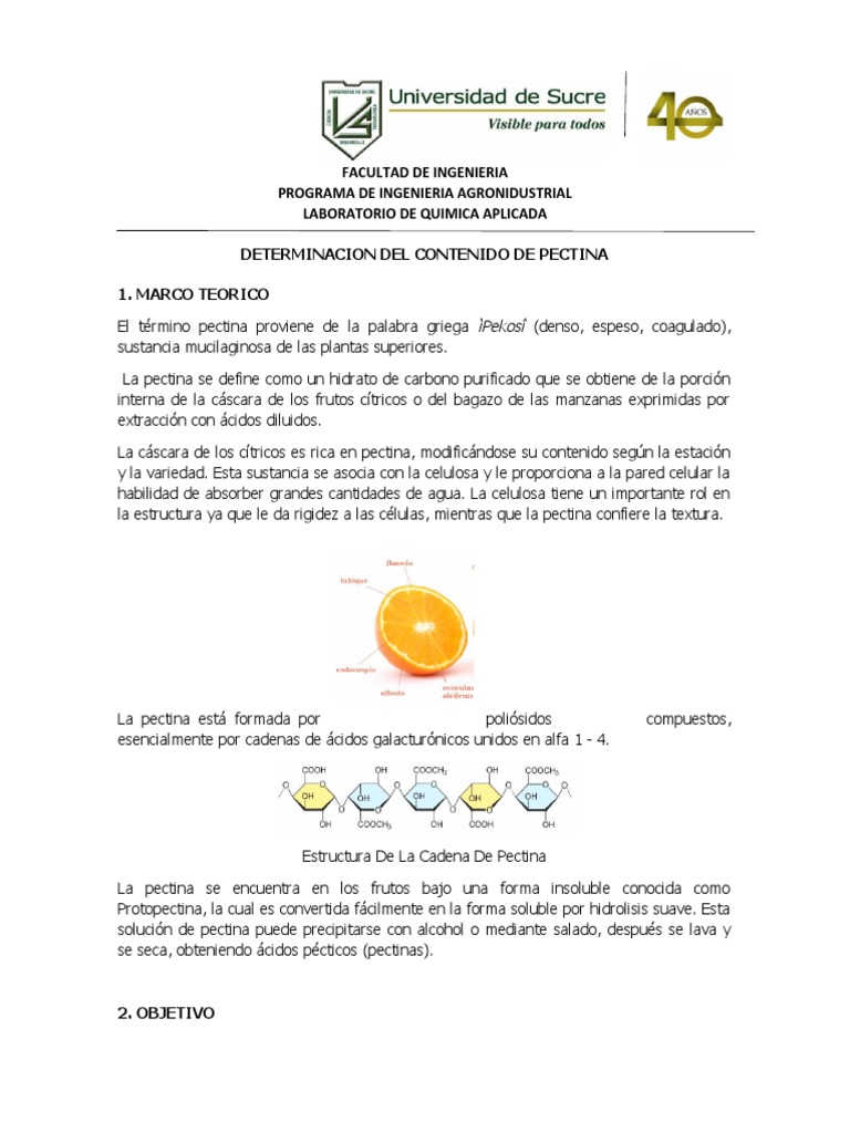 Estructura química de la pectina | PDF | Alcohol | Agua