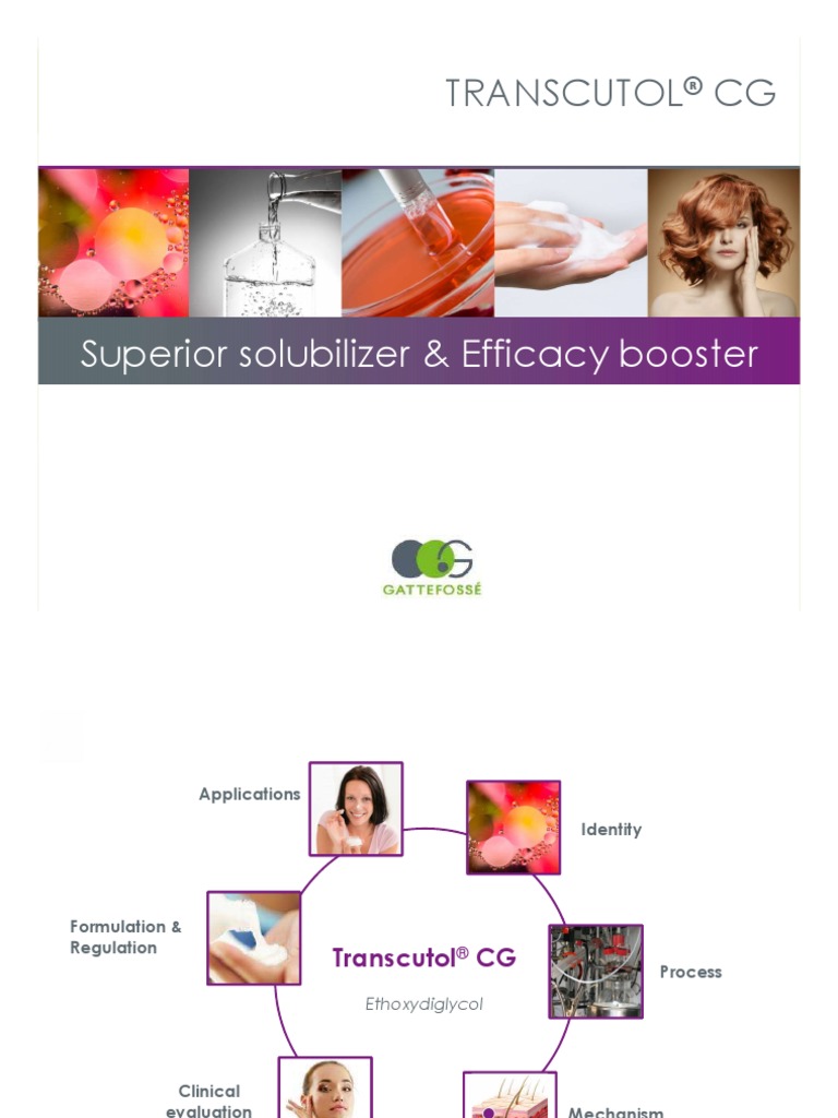 Transcutol Aplicaciones Industria Del Cuidado Personal | PDF ...