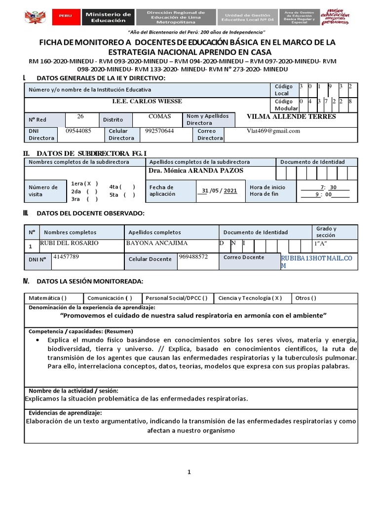 Ejemplo de Ficha de Monitoreo | PDF | Evaluación | Aprendizaje