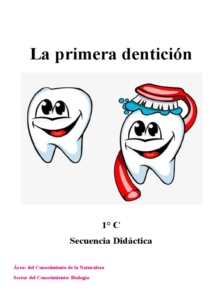 La Primera Dentición SD | PDF