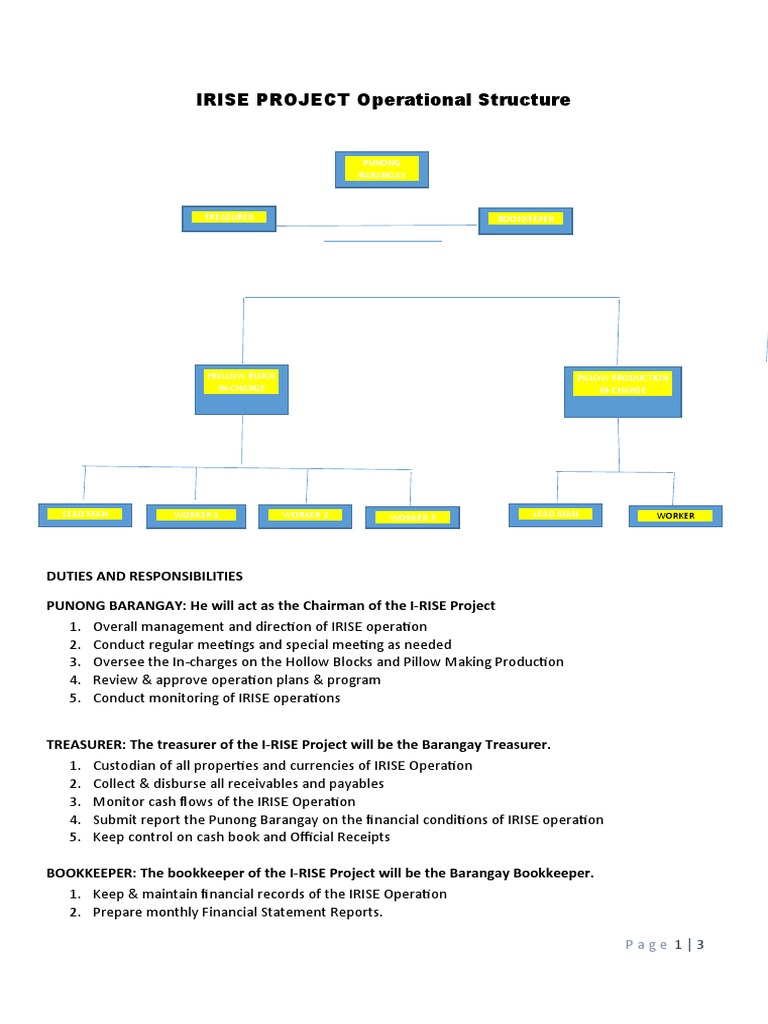IRISE Operational Structure Final | PDF | Business | Economies
