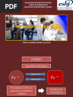 Cinética e Indicadores do Ferro Corporal | PDF | Ferro | Medicina Clínica