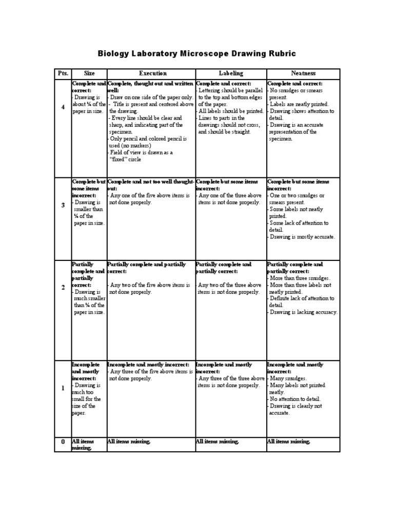 MicroscopeDrawingRubric 1 | PDF | Drawing