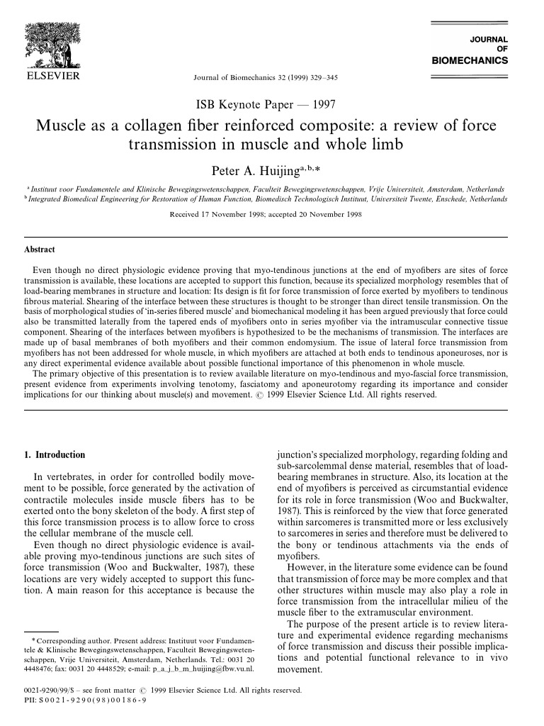 Hui Jing 1999 | PDF | Extracellular Matrix | Muscle