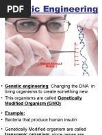 Steps in Genetic Engineering Process | PDF | Genetics | Genetic Engineering