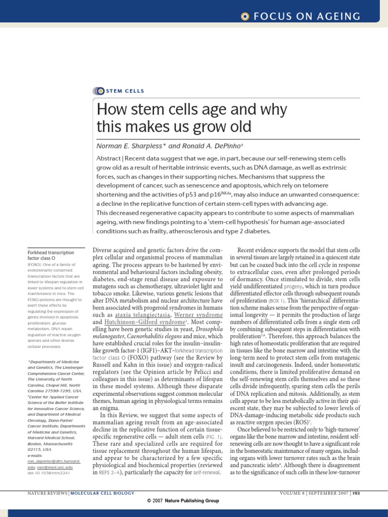 How Stem Cells Age and Why | PDF