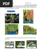 Halamang Dahon | PDF