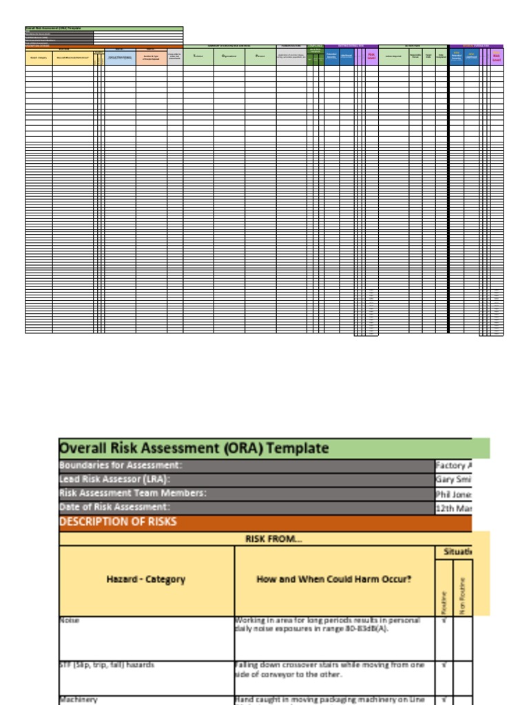 Overall Risk Assessment (ORA) Template: Risk Level Risk Level | PDF ...