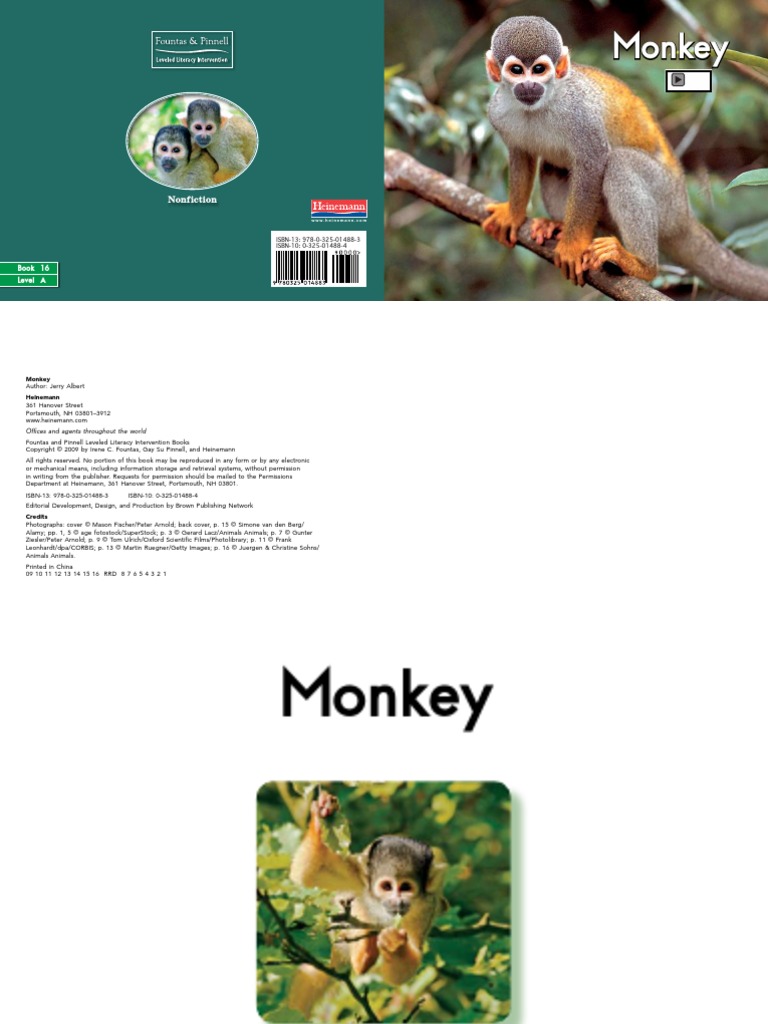 016 Monkey | PDF
