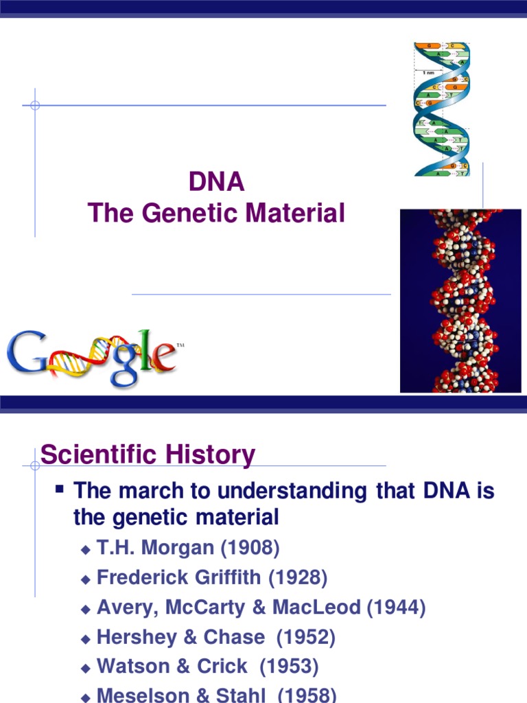 Dna As Genetic Material | PDF | Medical Specialties | Tree Of Life ...