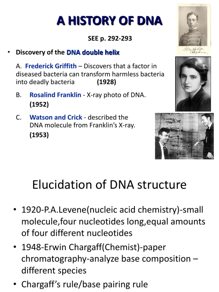 04-Aug-2021 A History of Dna | PDF | Dna | Nucleic Acid Double Helix