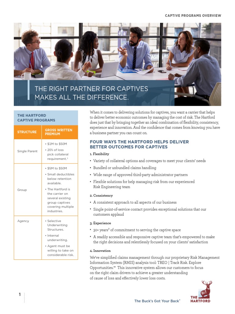 Captive Programs Overview Flyer | PDF | Insurance | Underwriting