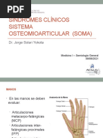 Signo del Témpano y Fabela en Rodilla | PDF | Rodilla | Pie