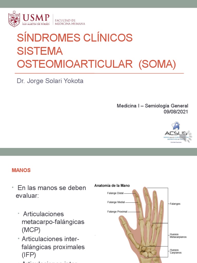 Semana 2 Sesión 5 - Sistema Osteoarticular y Muscular - Dr. Solari ...